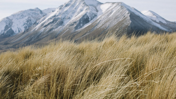 icebreaker® Official Website | Merino Wool Apparel